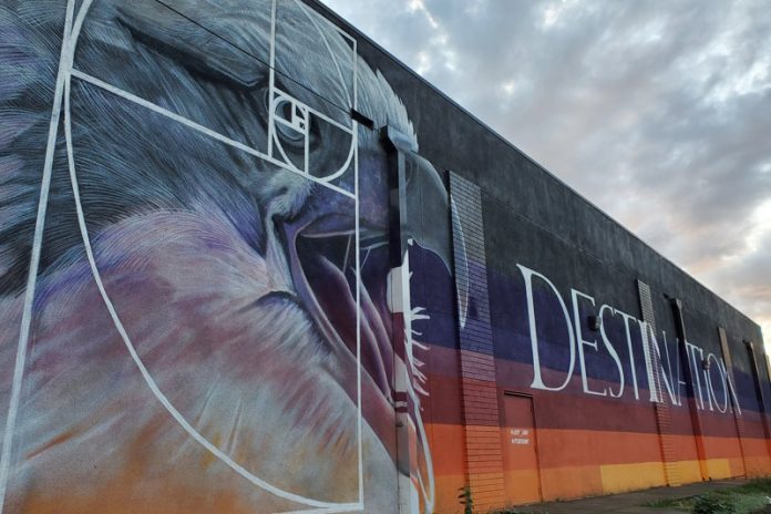 The story behind this huge wall mural in Citrus Heights – Citrus ...